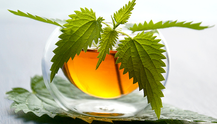 U nekoliko tjedana pobijedite anemiju, ojačajte imunitet i opće ...