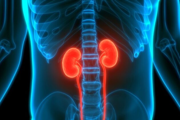 Čišćenje bubrega po metodi Hilde Clark: Prirodni način za otapanje ...